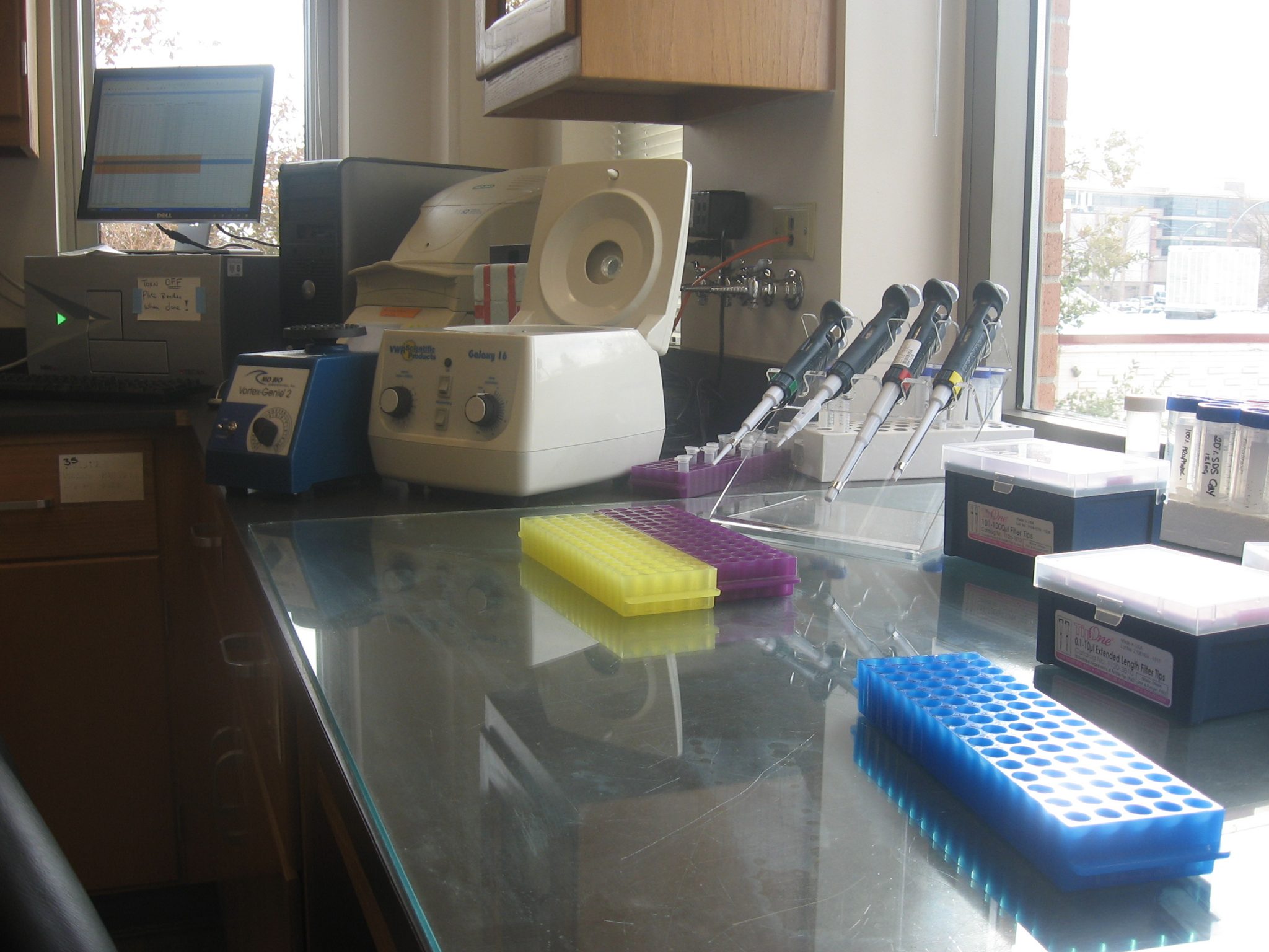 Molecular Analysis – EcoCore Analytical Facility